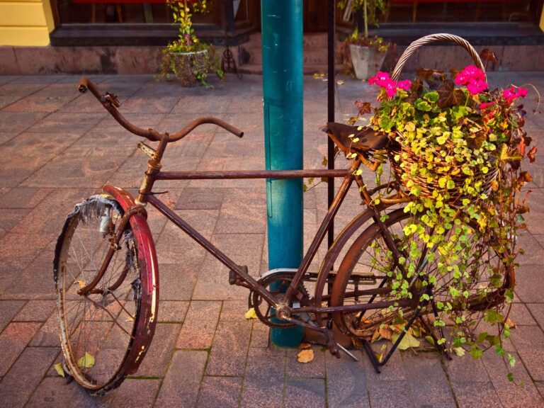 Jak wykorzystać stary rower? Zrób kwietnik! 15 inspiracji na rowerowe ...